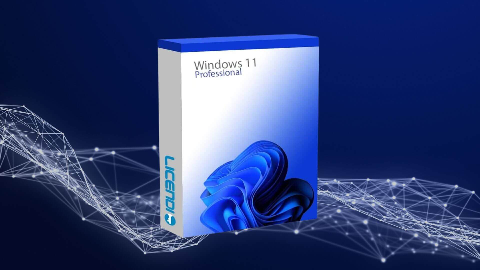 Licenza OEM o Retail di Windows 11: quale scegliere?